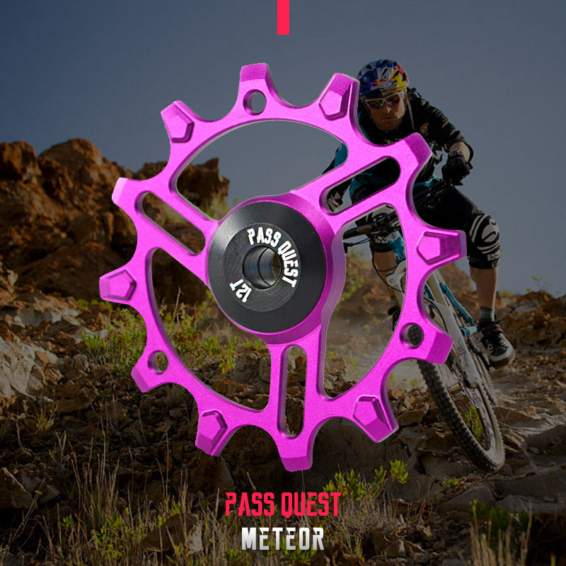 Other – PASS QUEST